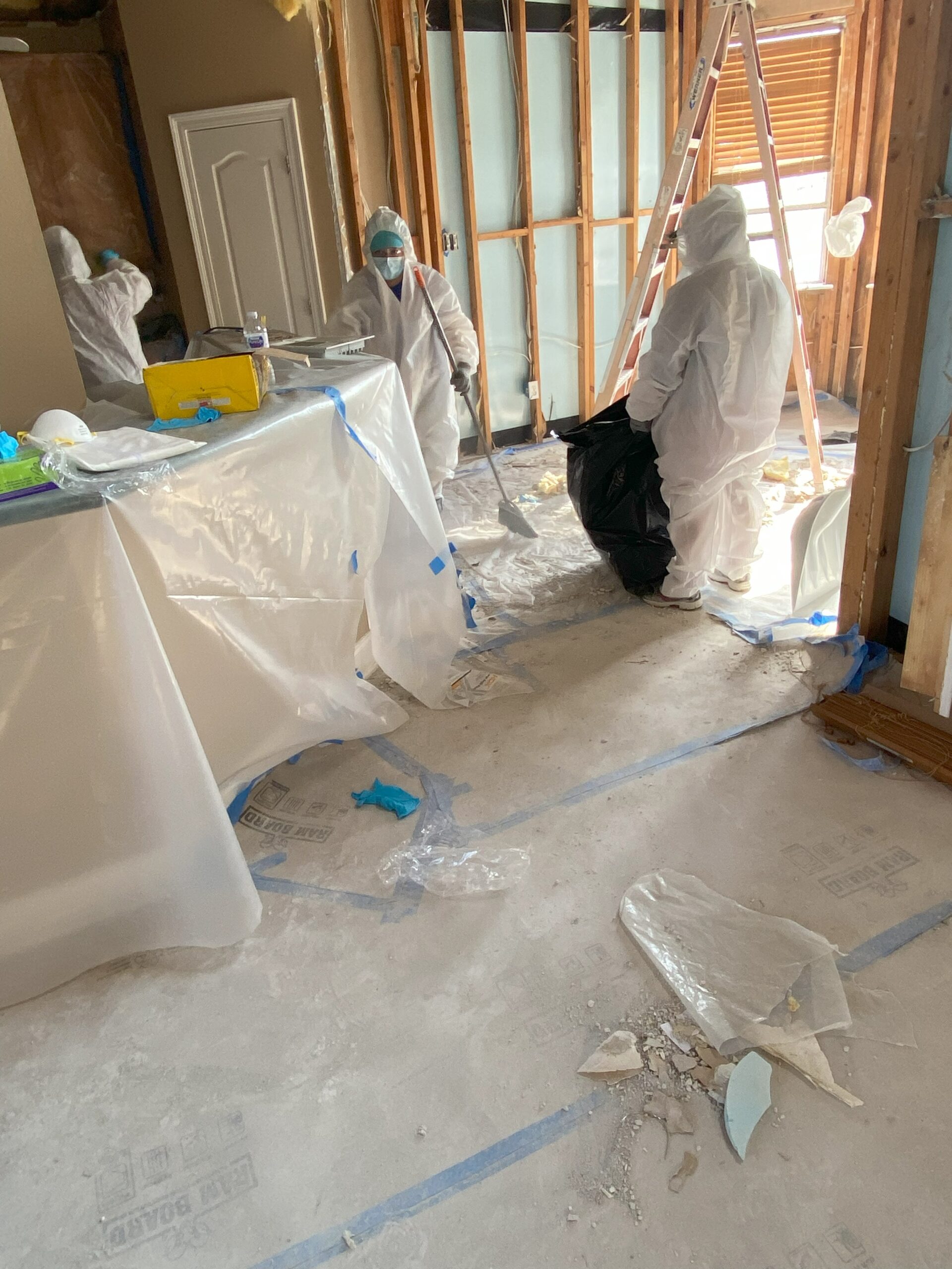 Mold Removal & Remediation | Full Service Property Restoration